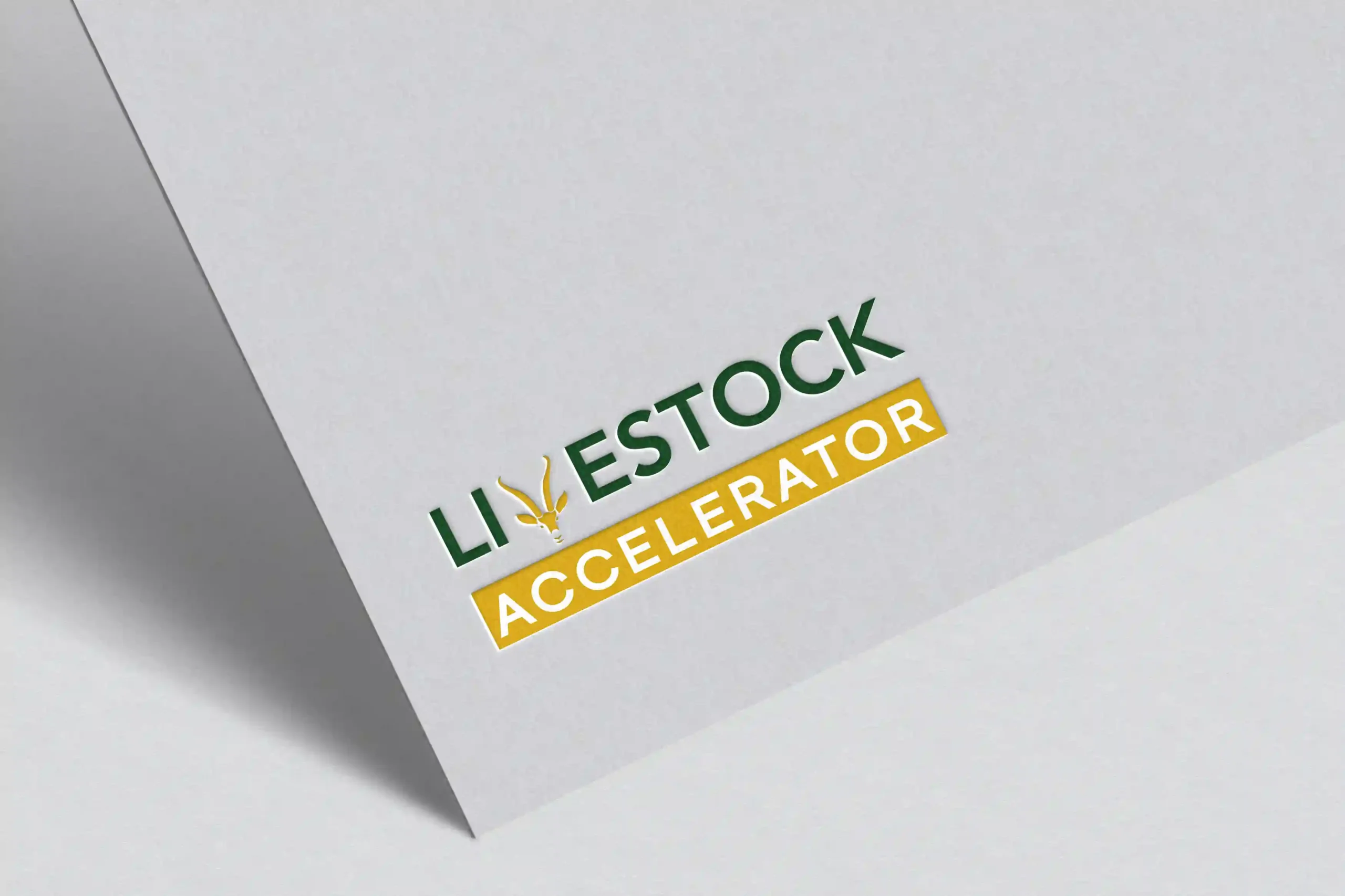 Livestock Accelerator - iClick Agency